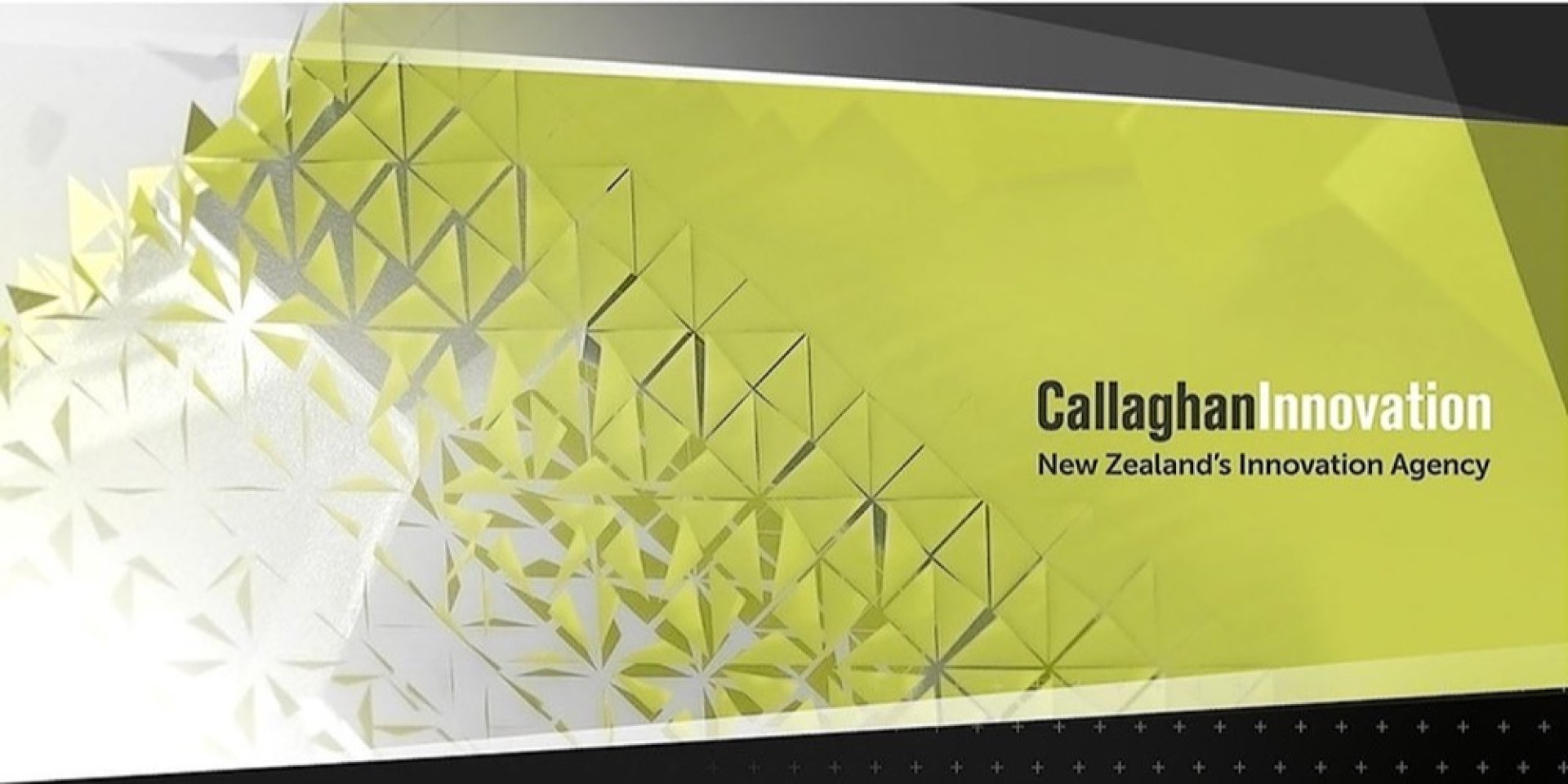 Ten Types of Innovation®, presented by Ross Pearce | Callaghan Innovation