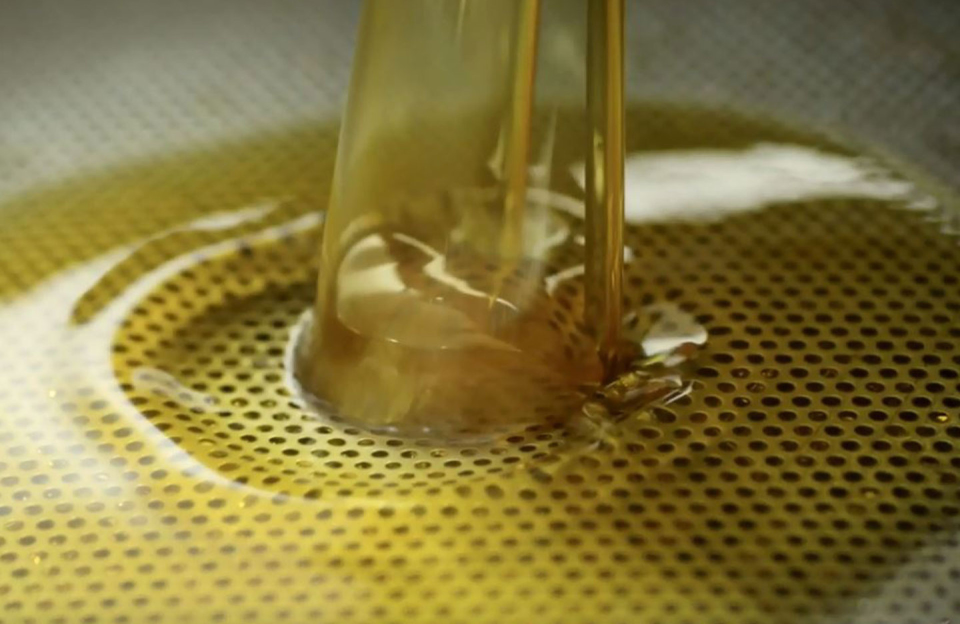 HoneyLab: Healing powers of honey | Callaghan Innovation